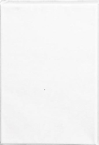 Artist A4 Streched White Canvas | Dragonfly Designs